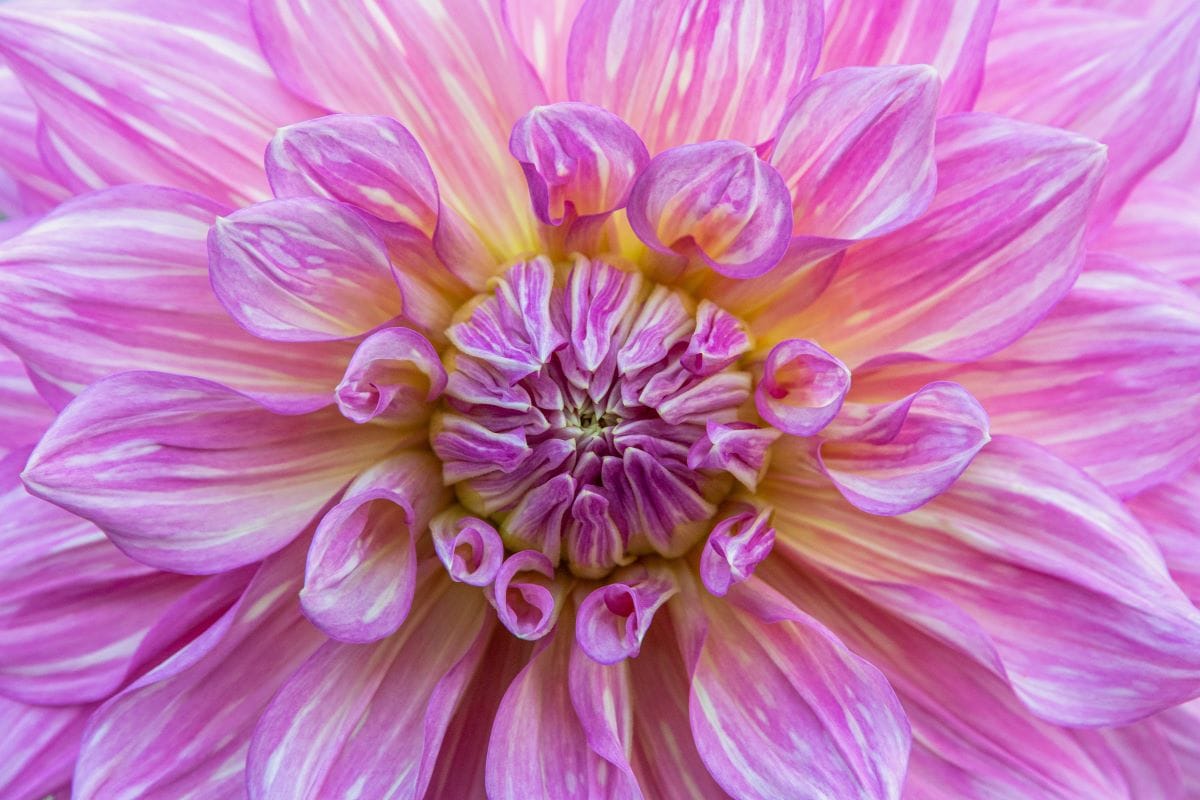 Pudsey Camera Club Launches 2024-25 Club Night Programme – Don’t Miss ...